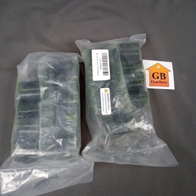 12pcs Heavy Duty Rubber Front Coil Spring Booster Kit, Coil Spacers, 1. ...