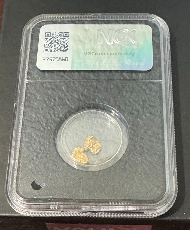 VaultBox Nugget Pax - Gold Nuggets from Downleville, CA - Vault Box ...