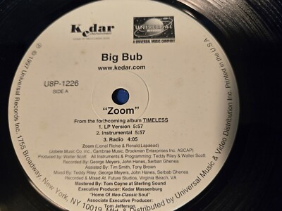 BIG BUB - ZOOM - 12" VINYL SINGLE | eBay