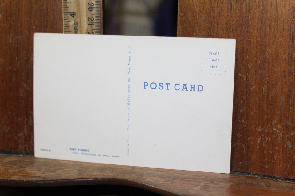 Vintage Postcard Surf Fishing | eBay