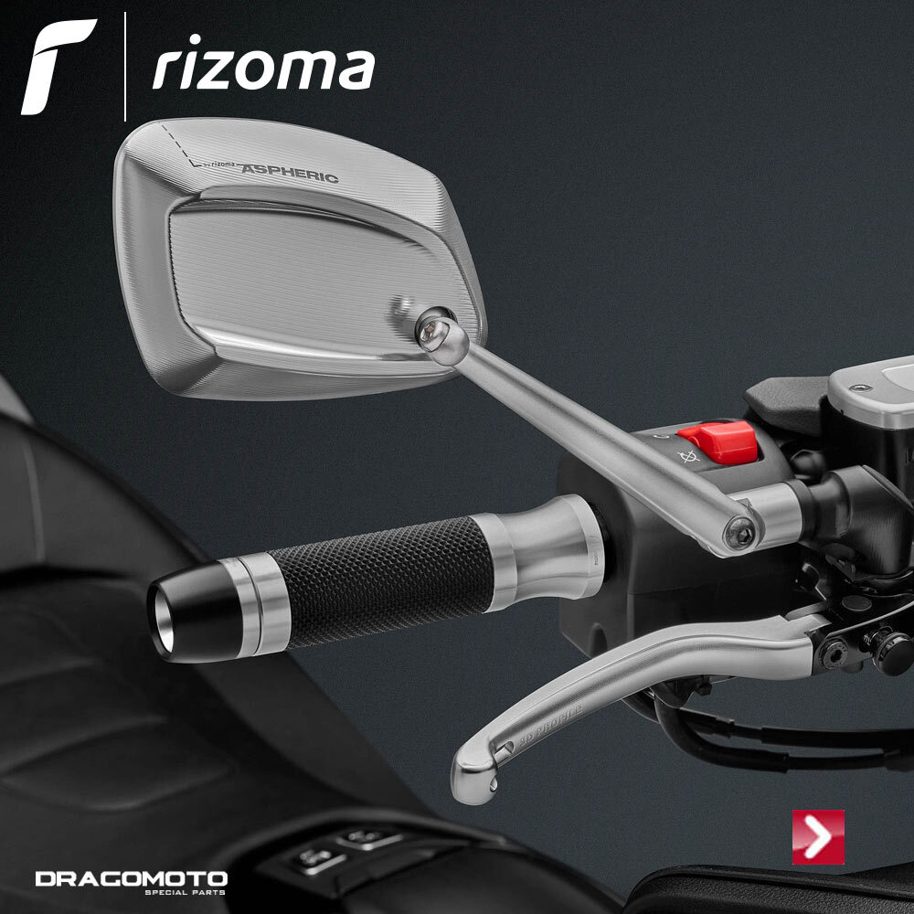 KAWASAKI Ninja 1000 ZX-10R SE 2018 Grips Sport RIZOMA GR205A Silver | eBay