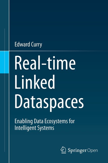 Real-Time Linked Dataspaces von Edward Curry (2019, Gebundene Ausgabe ...