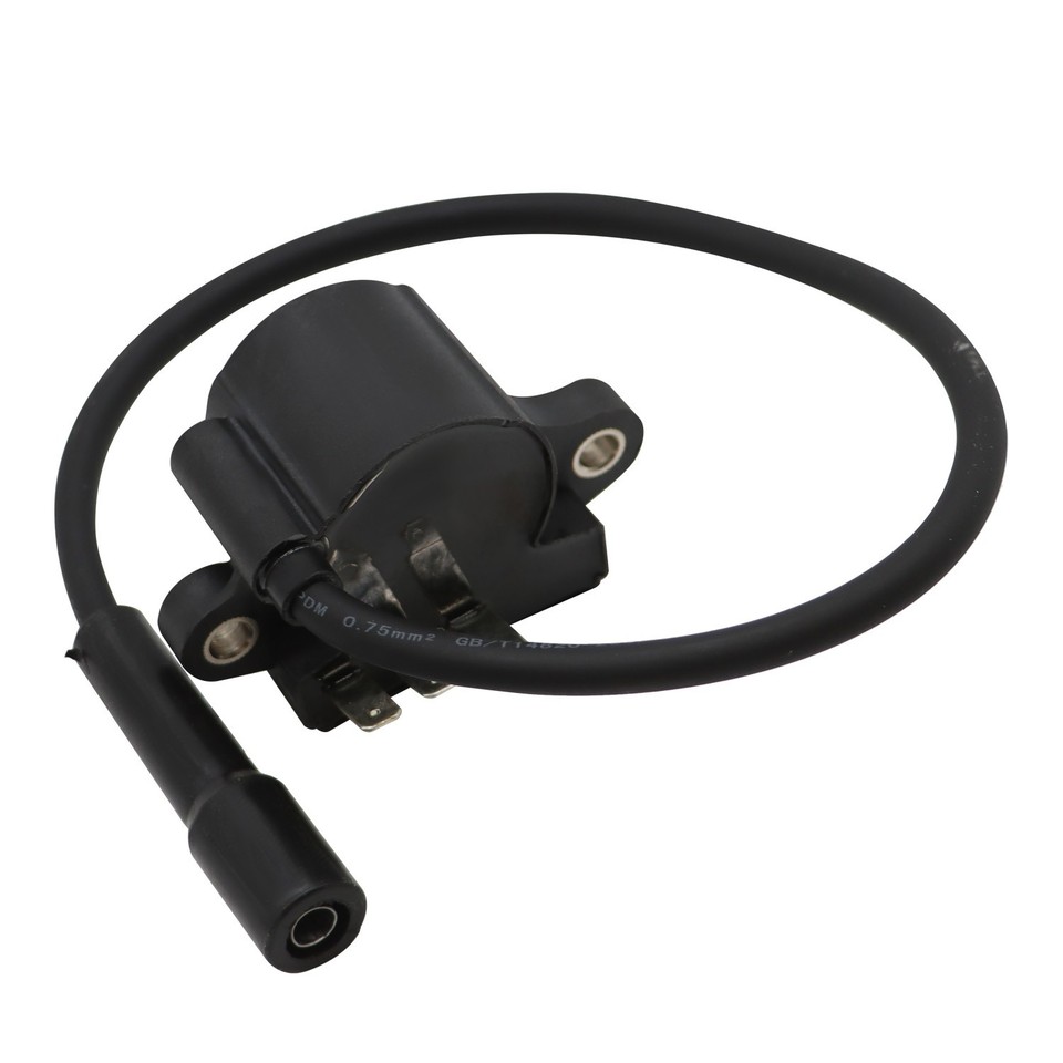 Digital Spark Advanced Ignition Module Kit 1270701-S For Kohler DSAI 12 ...