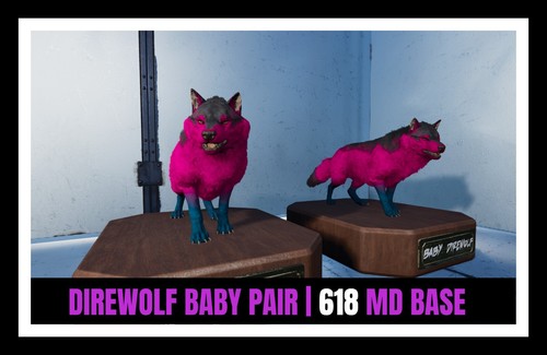 ARK Survival Ascended PvE Direwolf 618 MD base Pair PC/XBOX/PS5 ASA | eBay