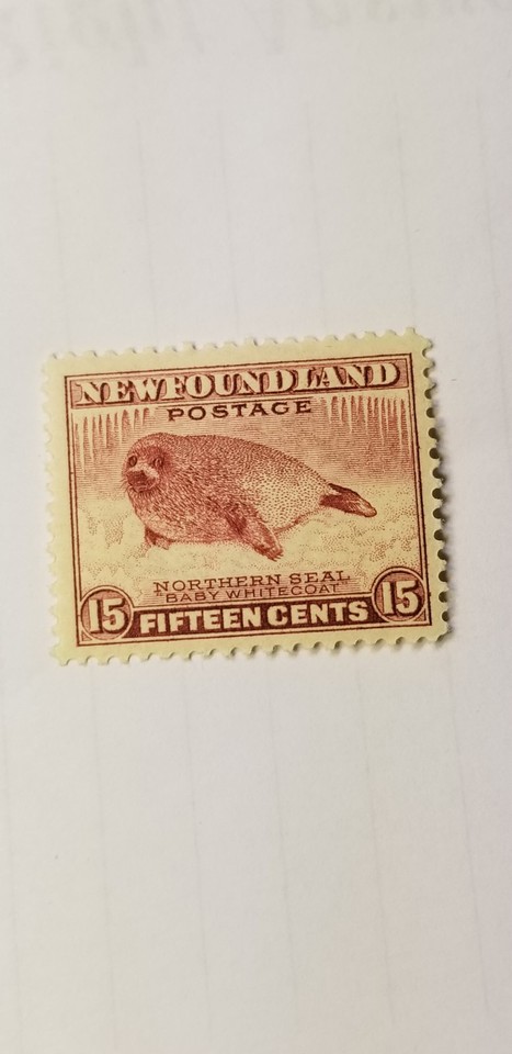 1932 Newfoundland 15 Cents MNH #195 Stamp Baby Harp Seal Idsw2. | eBay