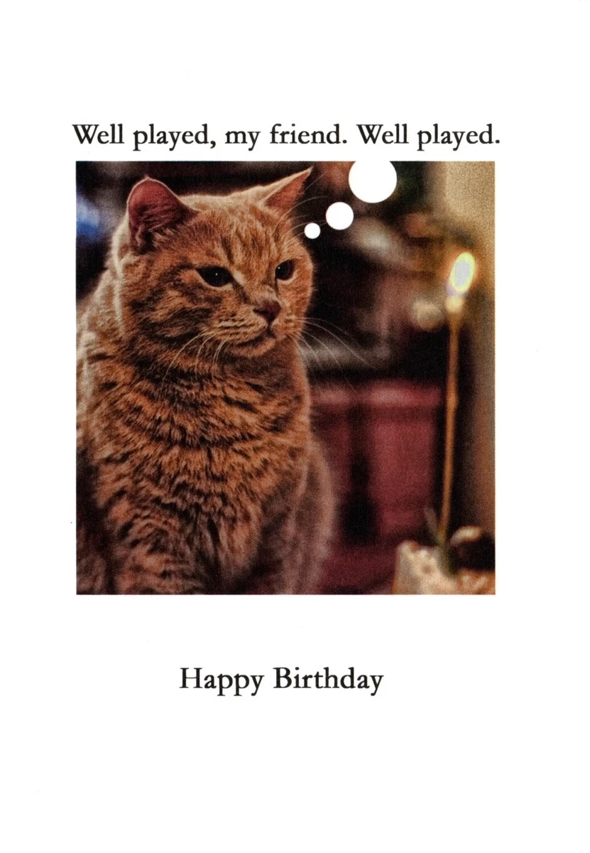 Cat Happy Birthday Meme
