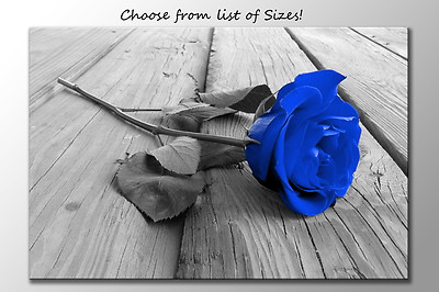 LARGE FRAMED CANVAS WALL ART BLUE & GREY ROSE PICTURE STUNNING NEW ...
