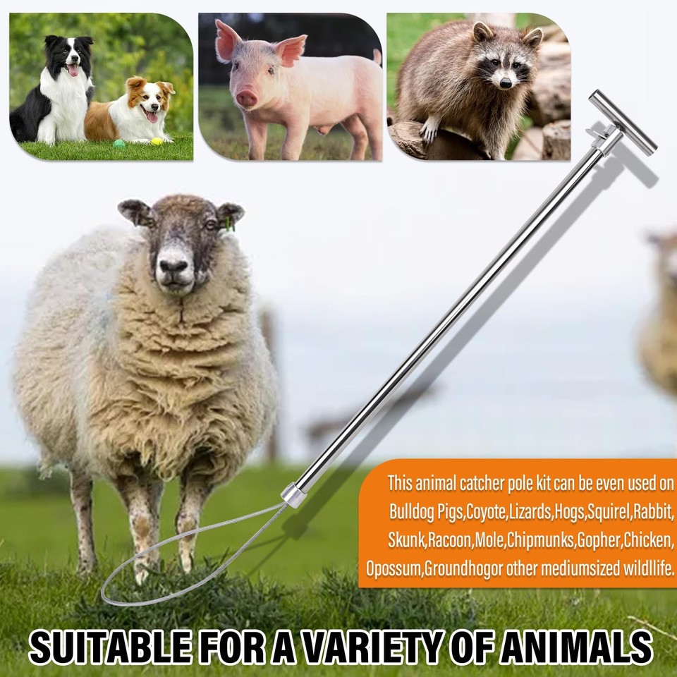 Hog Pig Catcher Pole Holder Control Tool Heavy Duty Stainless Steel for ...