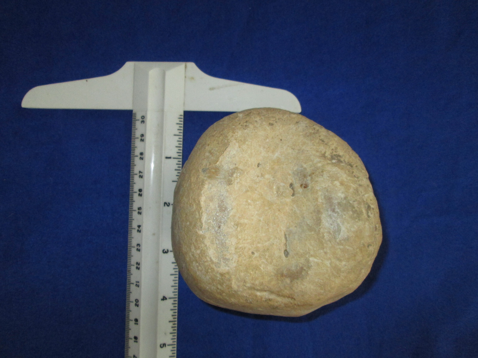 LAKE WACO 1980 Texas Fossil Echinoid Holaster Simplex Cretaceous Age 2 ...
