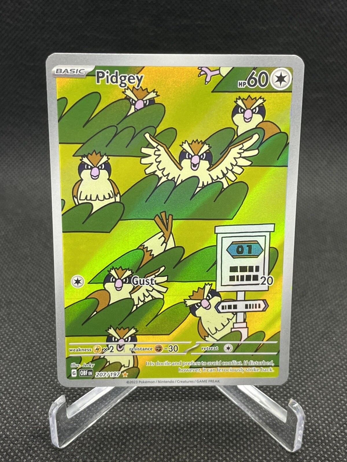 Pokémon TCG Pidgey SV03: Obsidian Flames 207/197 Holo Illustration Rare ...