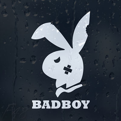 Funny Bad Boy Play Bunny Car Decal Vinyl Sticker For Bumper Or Window ...
