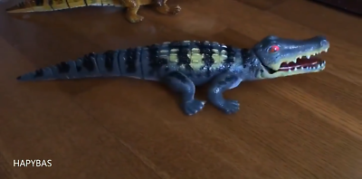 Baby Alligator Sounds