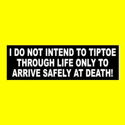 New "I DO NOT INTEND TO TIPTOE THROUGH LIFE" fearless BUMPER STICKER ...