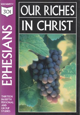 Ephesians: Our Riches in Christ (301 Depth Bible Study) 9781574941005 ...