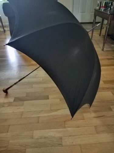 Vintage 1900's Umbrella Parasol~ Mother Of Pearl Handle~ | eBay
