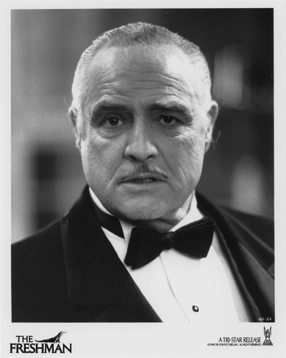 The Freshman 1990 Film