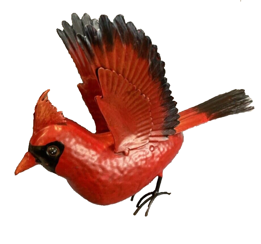 Cardinal Metal Garden Bouncy Bird 7" x 7" | eBay