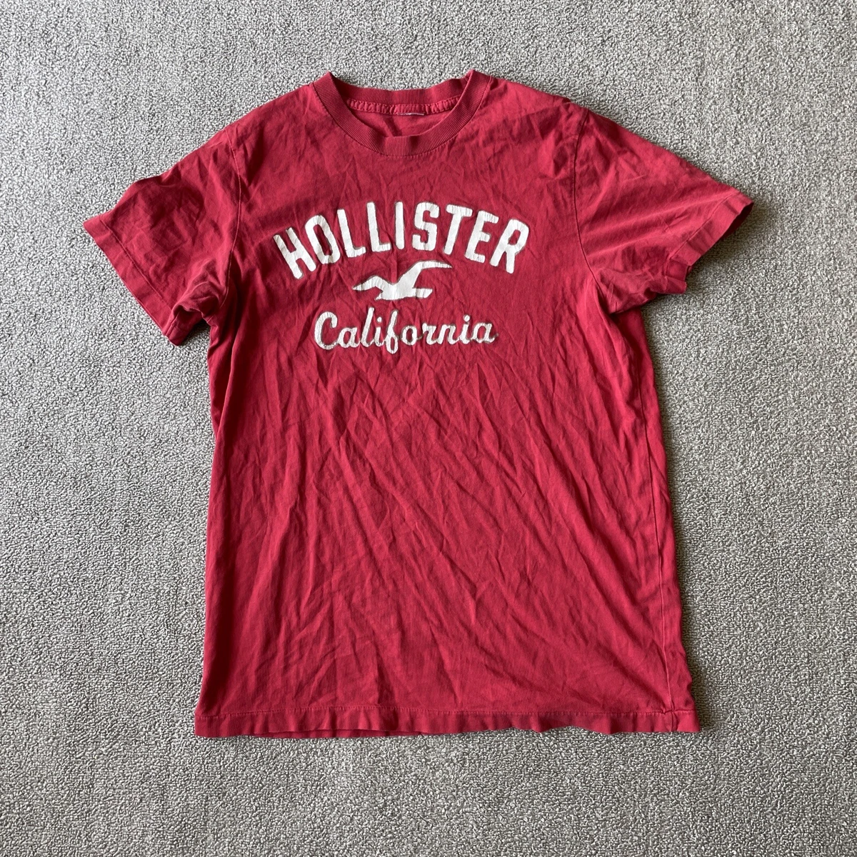Hollister Seagull Logo