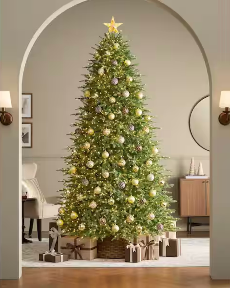 9 Ft Grand Duchess Balsam Fir