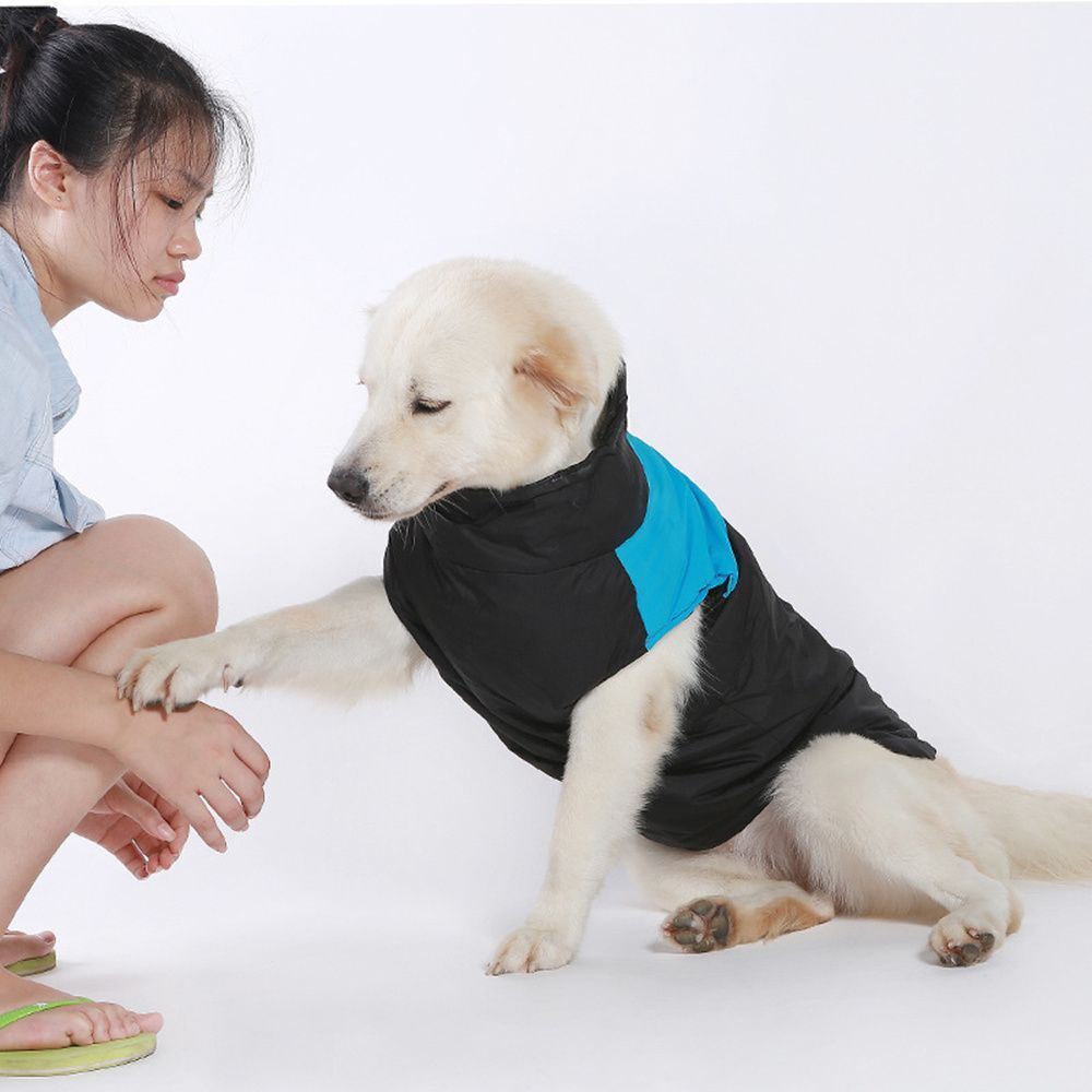 Warm Quilted Padded Puffer Windproof Coat Jacket Autumn and Winter Dog ...