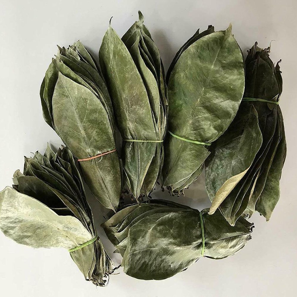 30+ Dried Soursop Leaves Graviola Brazilia paw paw/ Sinini Leave HOJAS ...