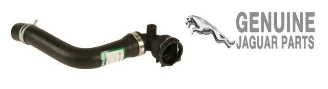 Genuine Jaguar X-type Bottom Radiator Hose C2S5369 for sale online | eBay