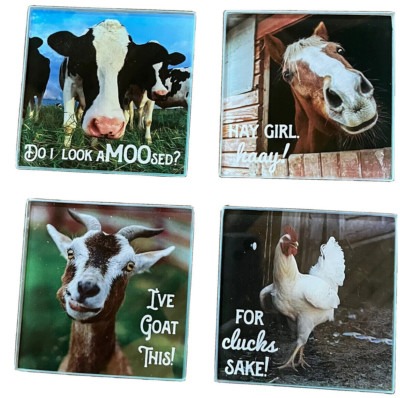 Bella Bug 6 square glass magnets - farm animals new in packaging | eBay