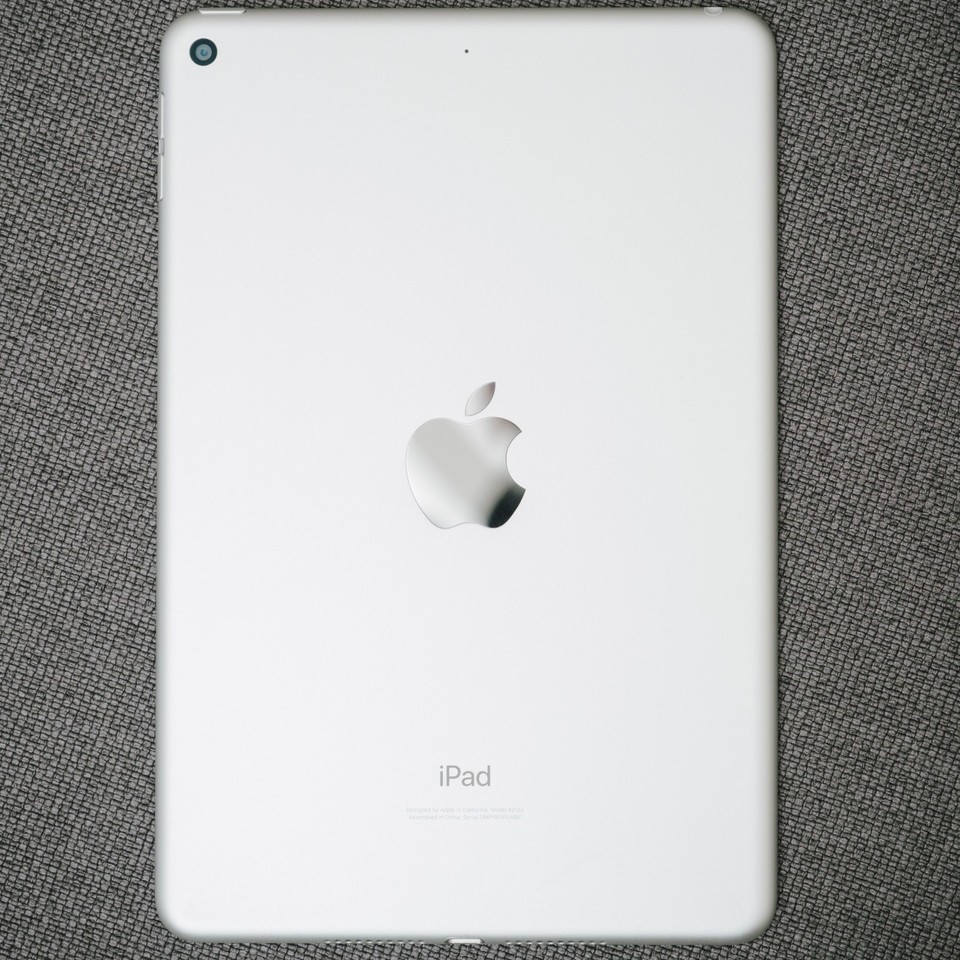Apple iPad mini 5th Gen 256GB Wi-Fi Silver A2133 MUU52LL/A | Screen ...