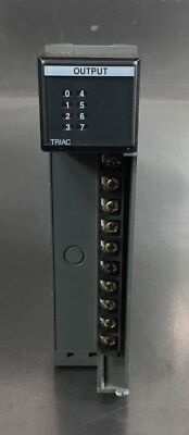 Allen Bradley 1746-OA8 Ser A. SLC 500 Output Module. 3B-25 | eBay