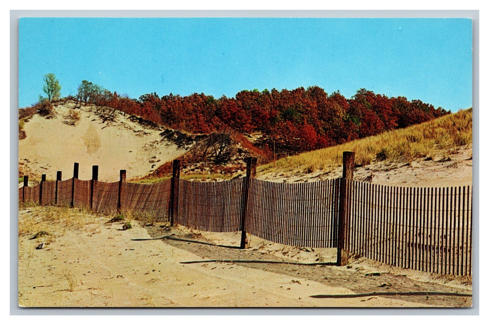 Chesterton, IN Indiana, Indiana Dunes of Lake Michigan, Chrome Postcard ...