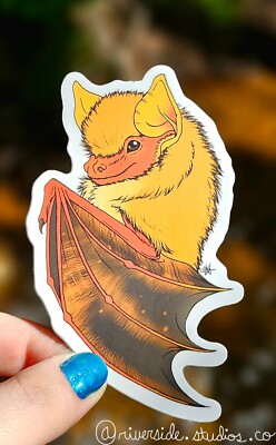 Painted Butterfly Bat Vinyl Sticker 3" Original Wildlife Art | eBay