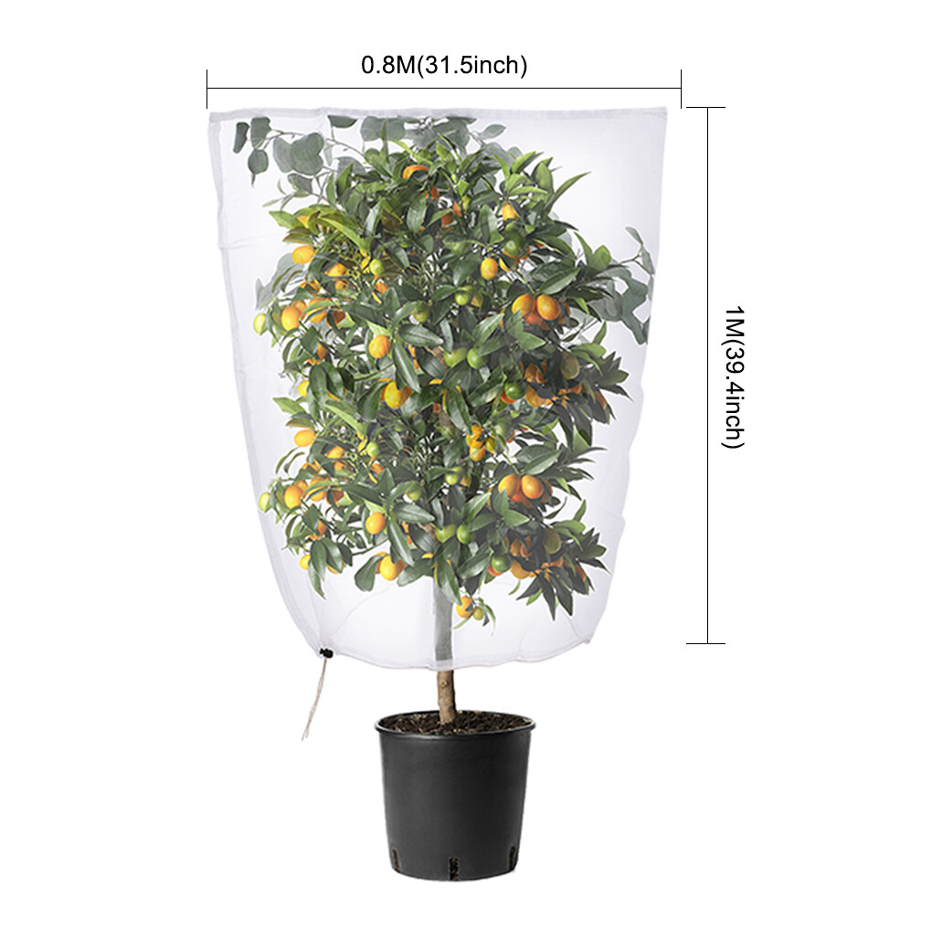 Fruit Fly Net Insect Mesh Vegetable Garden Plant Crop Protection Cover ...