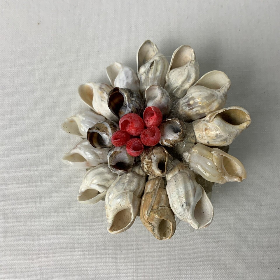 Sea Of Galilee Vintage 2000 Handmade Sea Shell Brooch | eBay