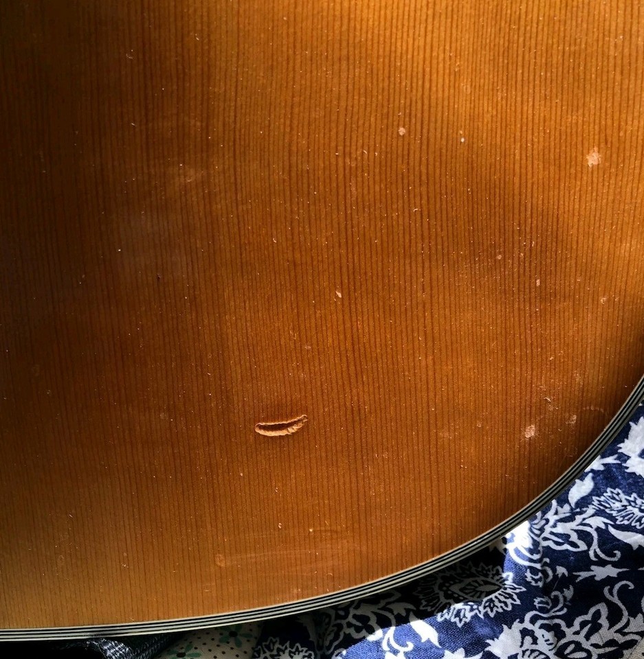 Vintage Alvarez 5014 Acoustic Guitar With Hard Shell Case & Electric ...