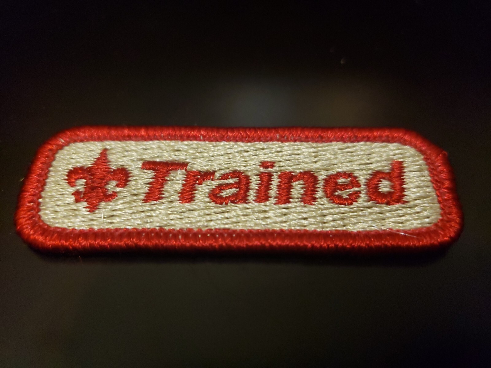 Boy Scouts America BSA Trained Patch | eBay