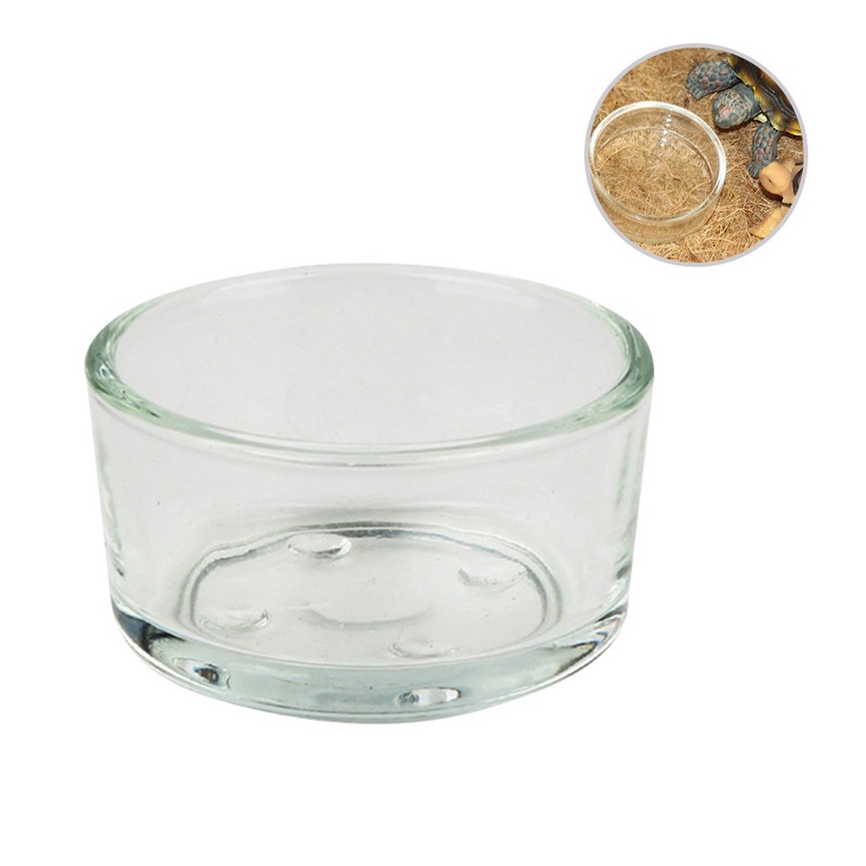 4 Pcs Turtle Feeding Bowl Cups Reptile Feeder Bowls Bearded Dragon Food ...