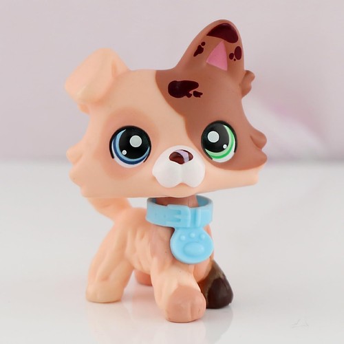 Custom LPS Collie dog Brown dog with Collar Who Love LPS Kids Gift Rare | eBay