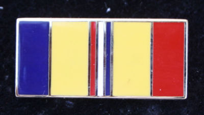 US NAVY MARINES COMBAT ACTION RIBBON HAT LAPEL PIN VETERAN MILITARY FMF ...