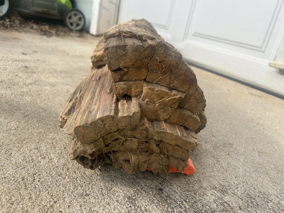 Over 4ft Long Petrified Log, 275-325lbs Would Make A Perfect Sitting ...