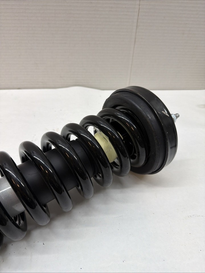 ROUGH COUNTRY LIFTED STRUT 25" LONG 649059-024 LiftedStrut 649069 | eBay