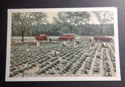 LINWOOD, NJ POSTCARD: ATLANTIC CITY'S HOTEL DENNIS VEGETABLE FARM-CROPS ...