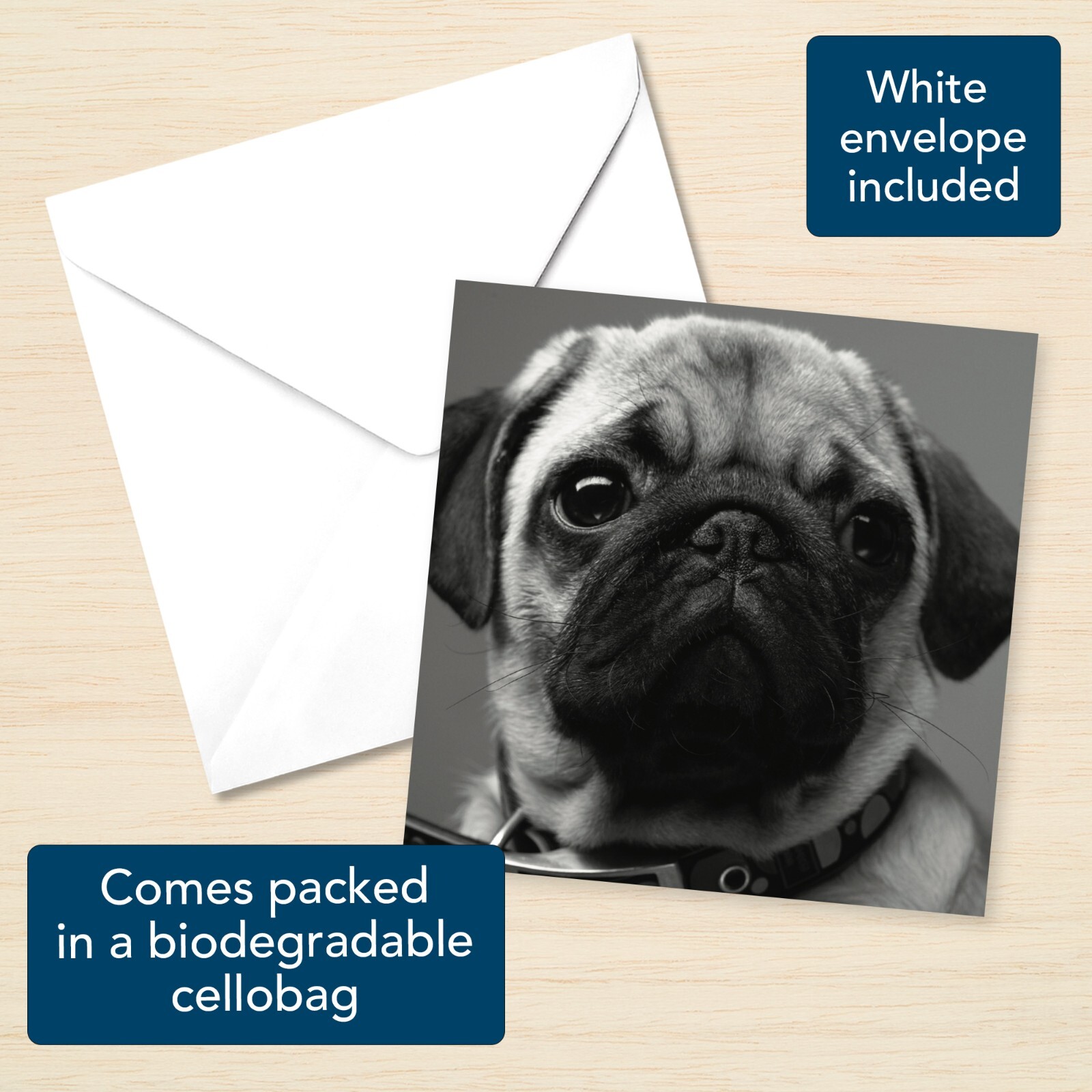 Pug Birthday Card Dog Portrait Black & White Photographic Greetings ...