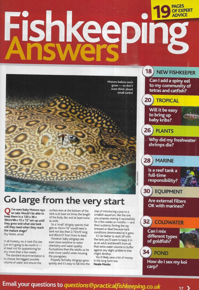 Practical Fishkeeping Magazine Rams Rockpooling Fish Tanks Native ...