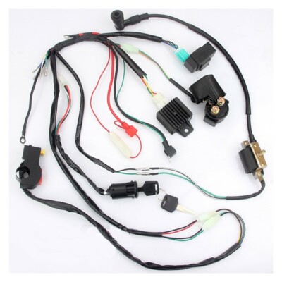 QUAD Wiring Harness Kit Electric Ignition Coil for ATV Apollo Motocross ...