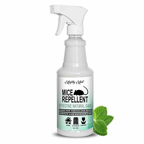 Mighty Mint - 16oz Peppermint Oil Mice Repellent Spray - Non Toxic | eBay