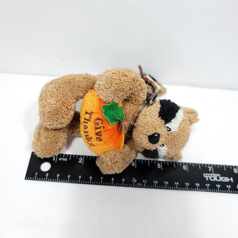 Give Thanks Thanksgiving Raccoon Holding Pumpkin Gund Plush Stuffed ...