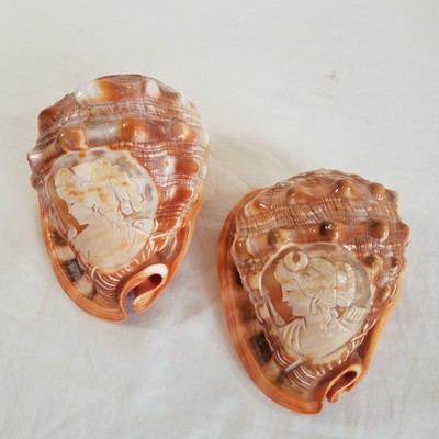 2 Cameo Carved Conch Shells Seashells 5" - 6" Roman Woman Greek ...