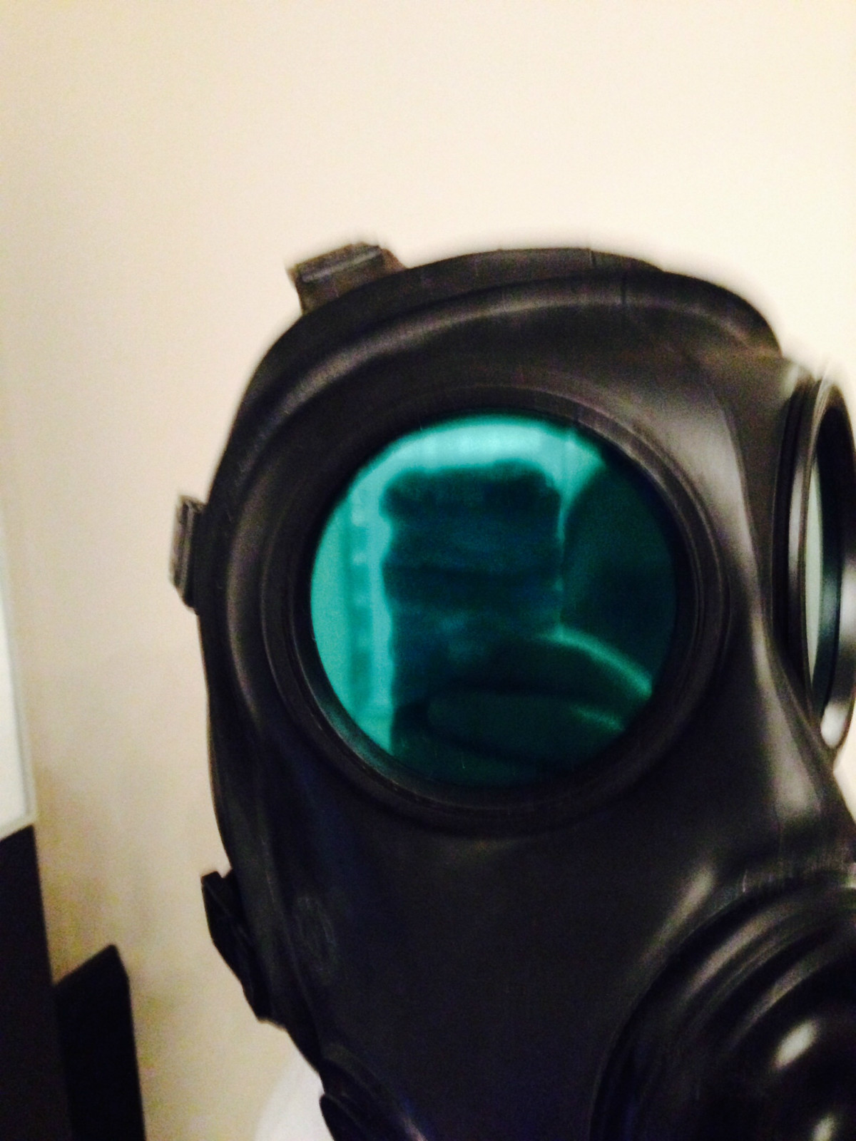 S10 or FM12 SAS Pair of Gas Mask Replacement Lenses for Airsoft | eBay