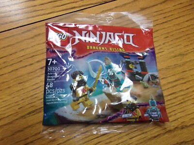 New 2025 Lego Ninjago 30700 Arin vs. Dragonian Battle Polybag Set | eBay