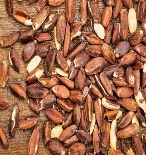 Dried Organic Bitter Kola Nut (Garcinia Kola) W/Africa 1LB | eBay